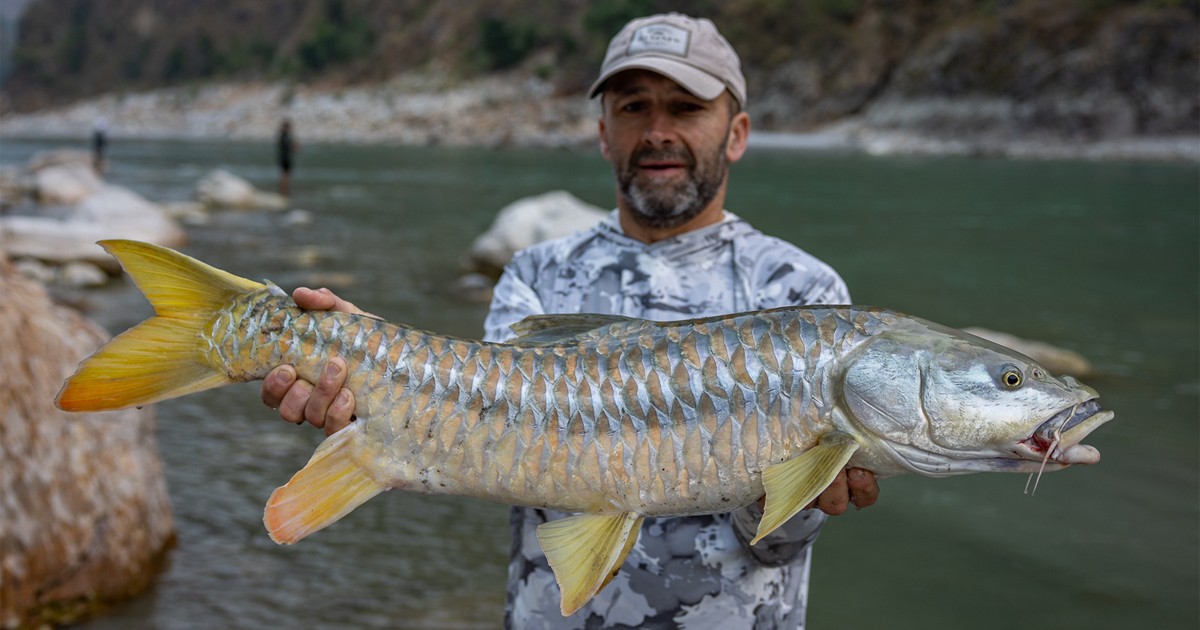 Golden Mahseer Fishing in Seti Karnali – Remote Nepal Waters